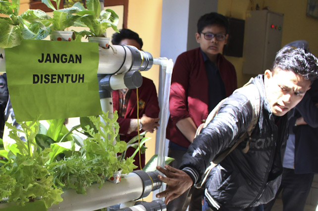 Budidaya Sayuran Hidroponik di Sekolah – Suara Surabaya