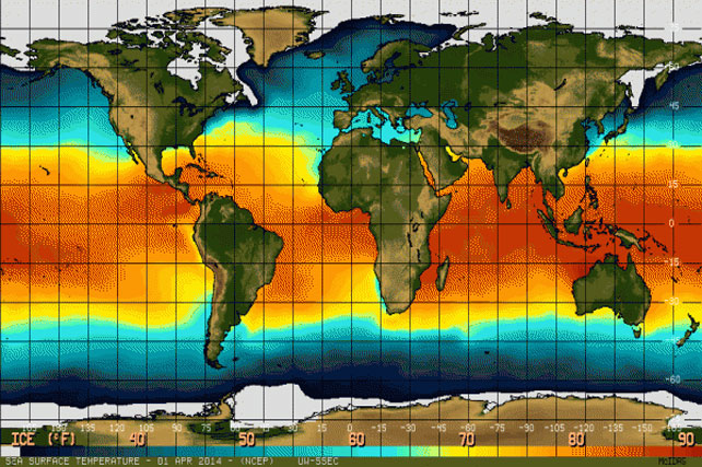 Cara Antisipasi Dampak El Nino – Suara Surabaya Cara Antisipasi Dampak El Nino – Suara Surabaya