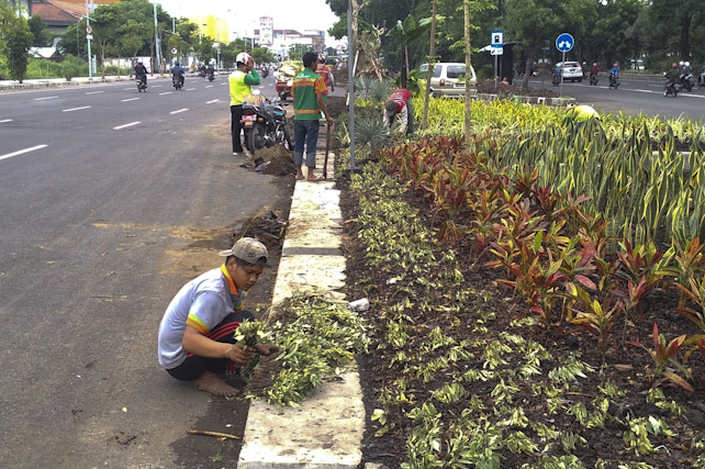 Frontage Road Dilengkapi Taman – Suara Surabaya