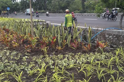 Frontage Road Dilengkapi Taman – Suara Surabaya
