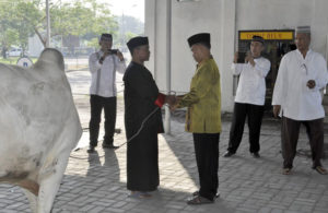 Danpasmar-1 Ikut Sembelih Ternak Qurban – Suara Surabaya