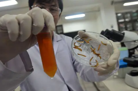 Temuan Bioinsektisida Sintetik – Suara Surabaya