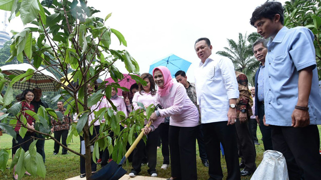 PIA DPR Canangkan Gerakan Menanam 1000 Pohon – Suara Surabaya PIA DPR Canangkan Gerakan Menanam 1000 Pohon – Suara Surabaya