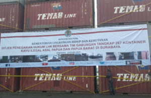 55 Kontainer Berisi Kayu Ilegal Diamankan Gakkum KLHK di Surabaya - Suara Surabaya