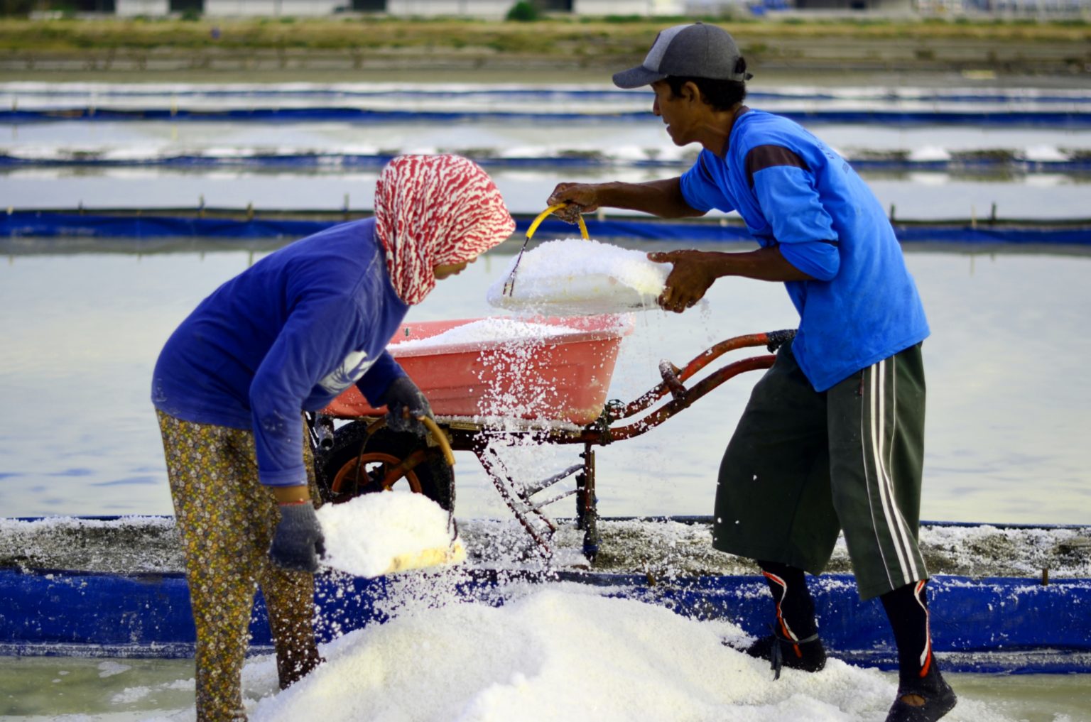 Impor Garam – Suara Surabaya