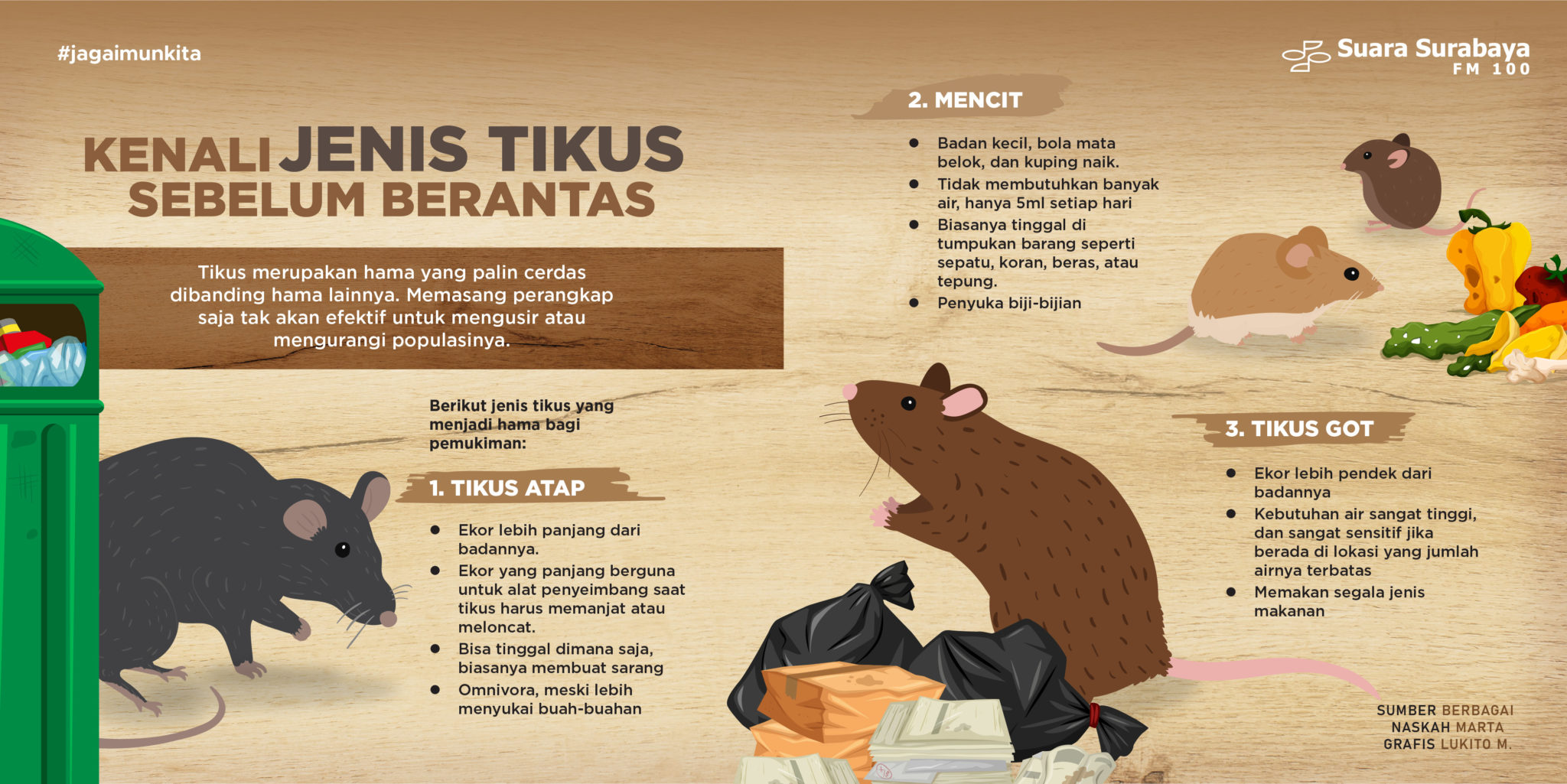 Kenali Jenis Tikus Sebelum Berantas