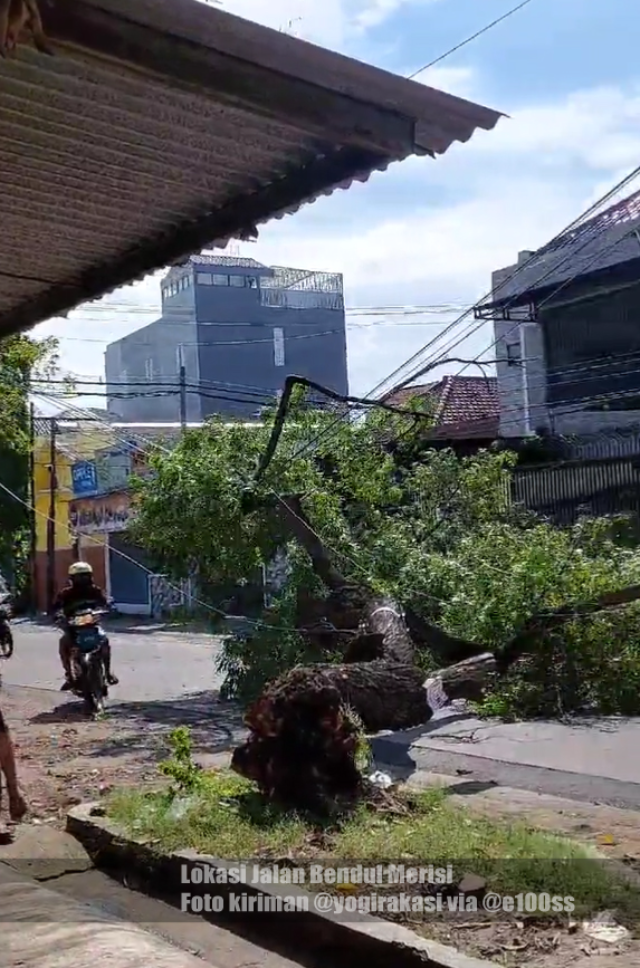 13.50: Pohon Tumbang di Jalan Bendul Merisi, Lalu Lintas Tersendat ...