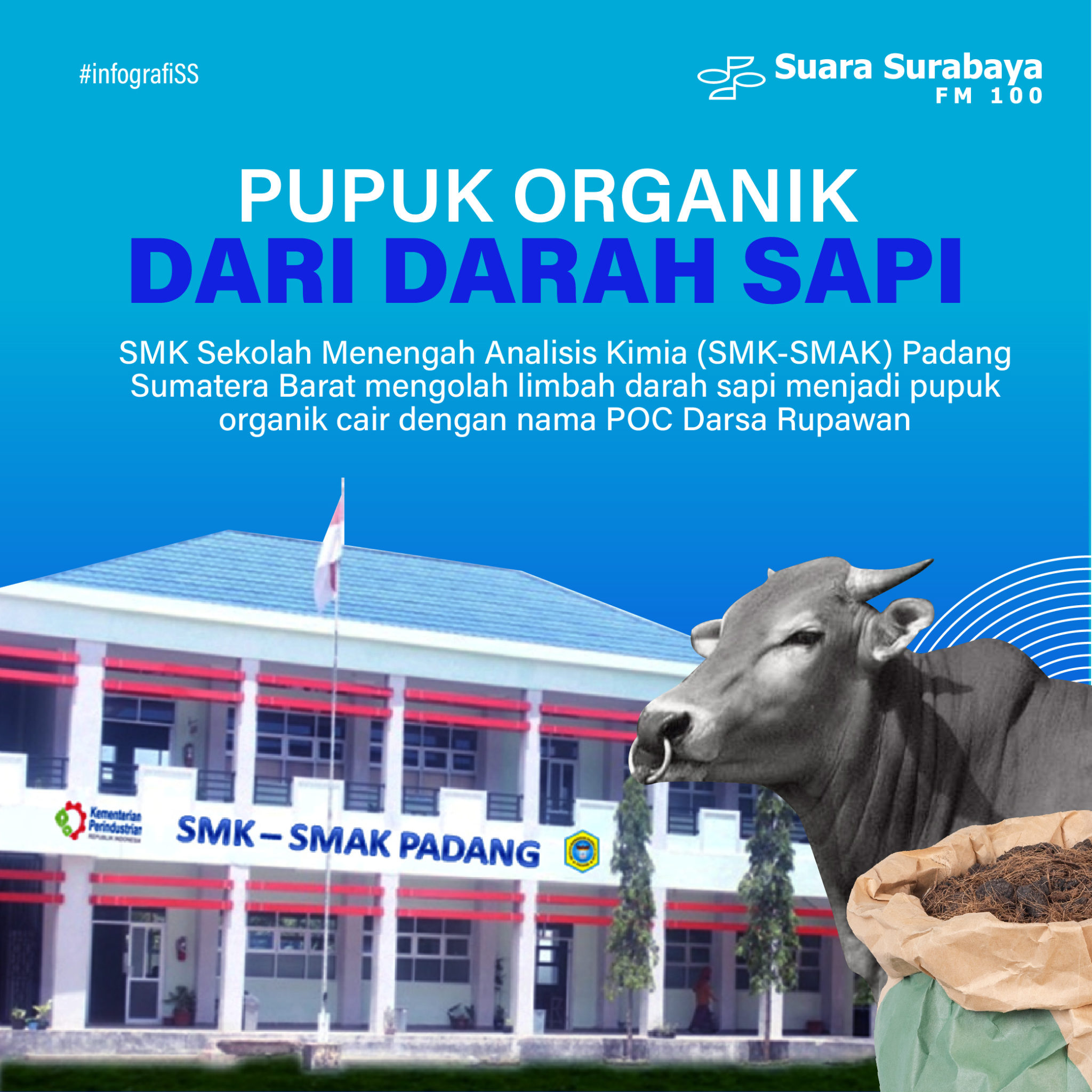 Pupuk Organik dari Darah Sapi