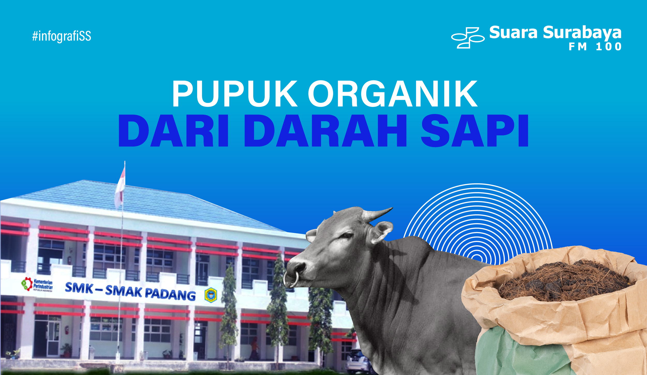 Pupuk Organik dari Darah Sapi
