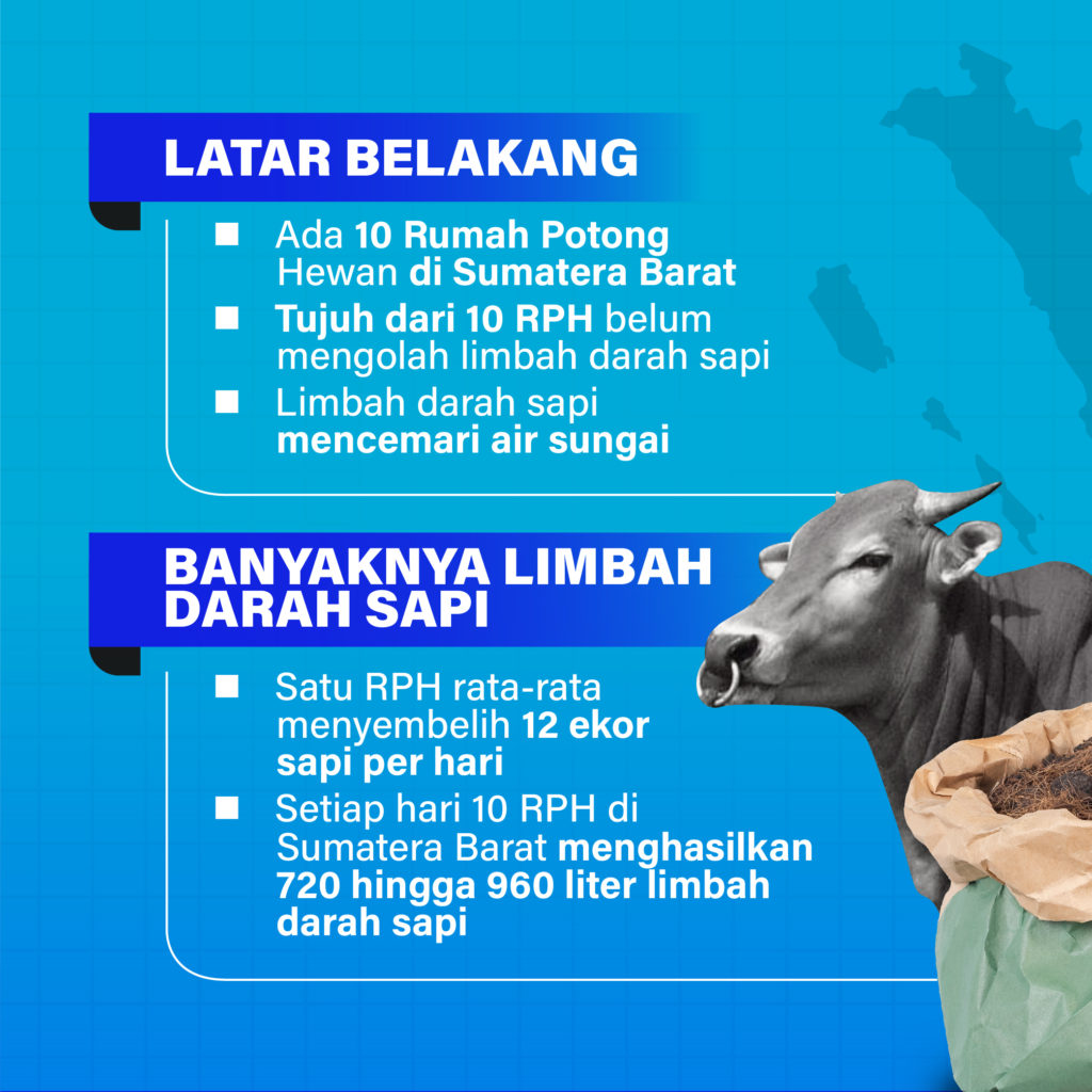 Pupuk Organik dari Darah Sapi