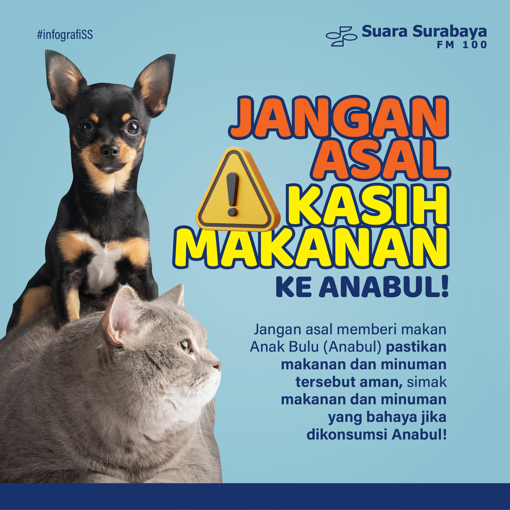 Jangan Asal Kasih Makanan ke Anabul! Jangan Asal Kasih Makanan ke Anabul!