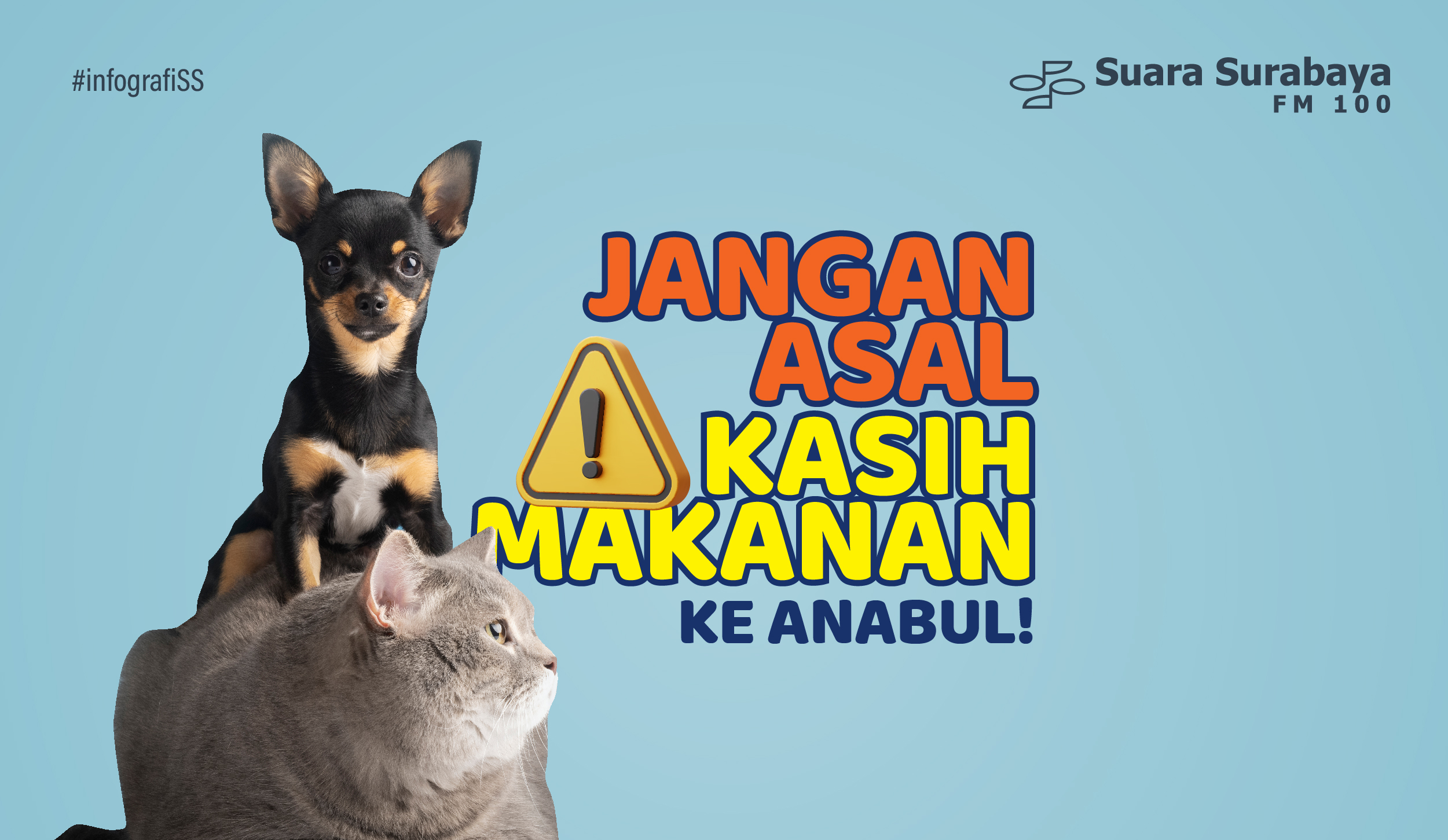 Jangan Asal Kasih Makanan ke Anabul! Jangan Asal Kasih Makanan ke Anabul!