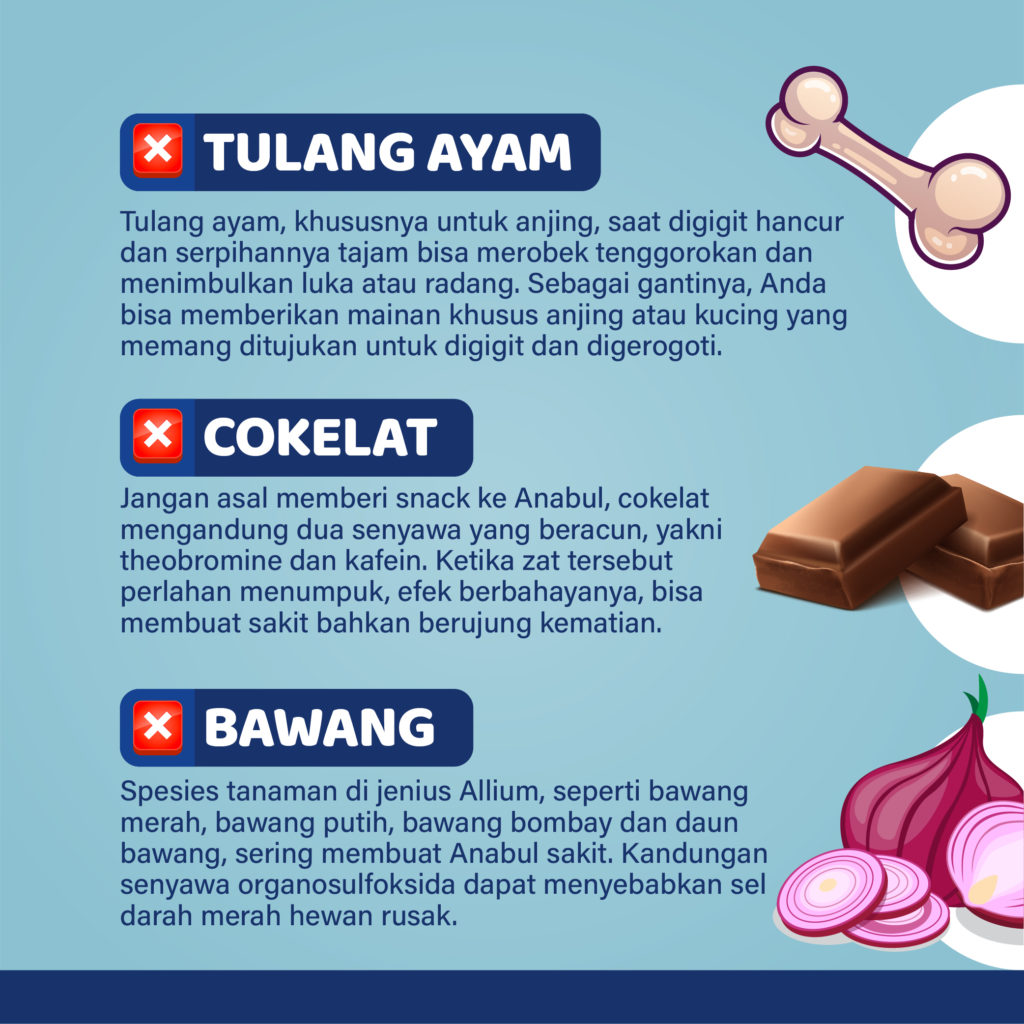 Jangan Asal Kasih Makanan ke Anabul!