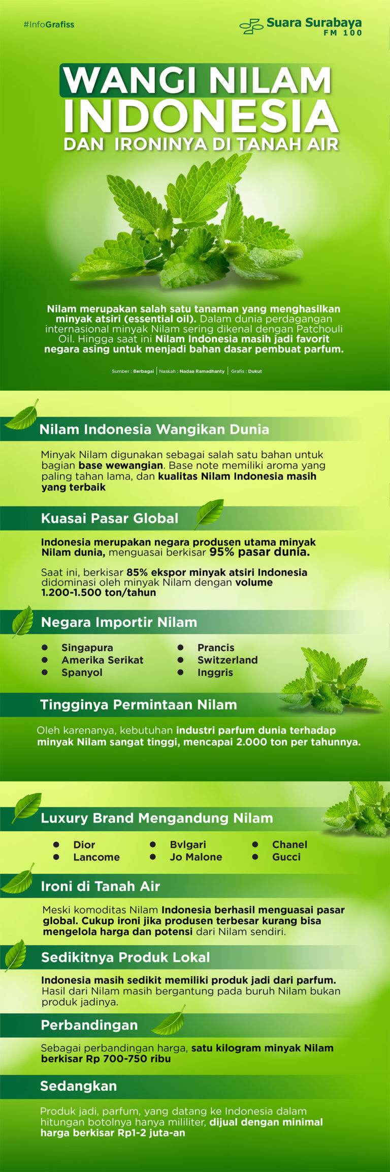 Wangi Nilam Indonesia dan Ironinya di Tanah Air