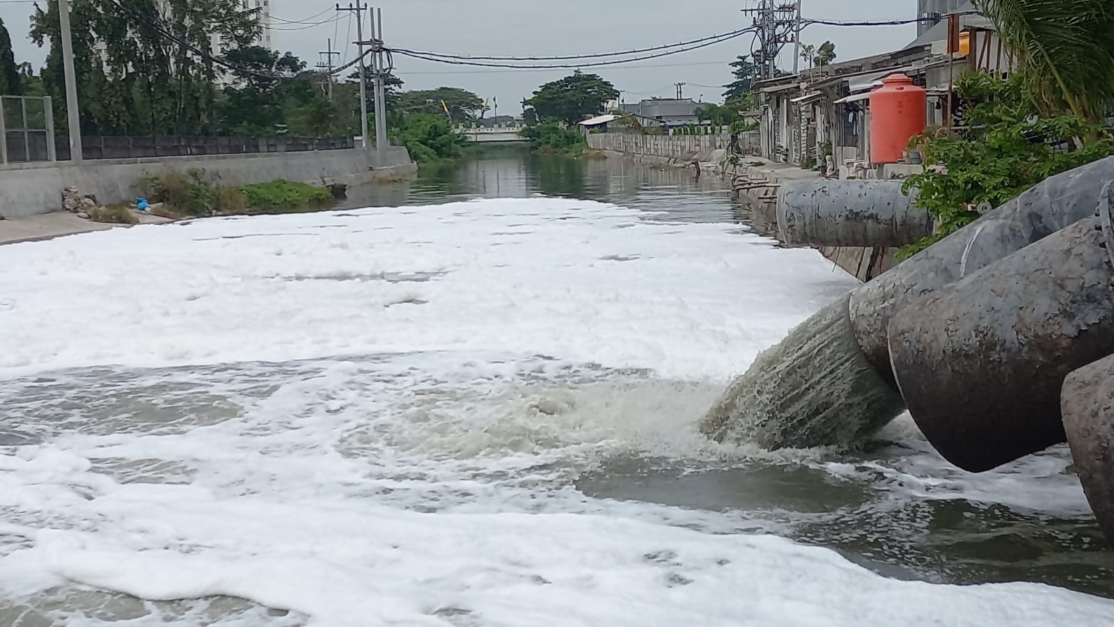 DLH Surabaya Pastikan Limbah Busa di Sungai Kalidami Tidak Membahayakan ... DLH Surabaya Pastikan Limbah Busa di Sungai Kalidami Tidak Membahayakan ...