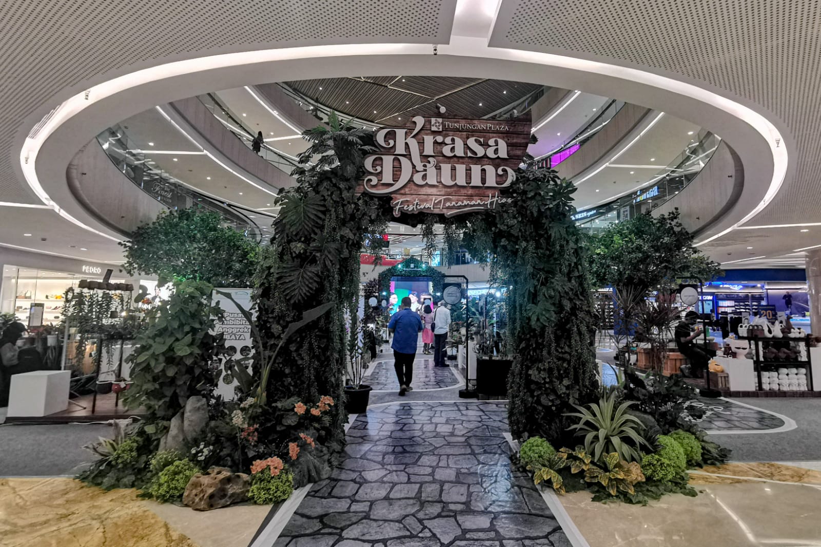 Festival Tanaman Hias ‘Krasa Daun’ di Tunjungan Plaza Surabaya - Suara ...