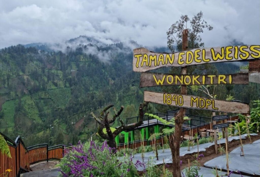 Mengintip Pesona Delapan Desa Wisata Terbaik di Jatim Pemenang ADWI 2023