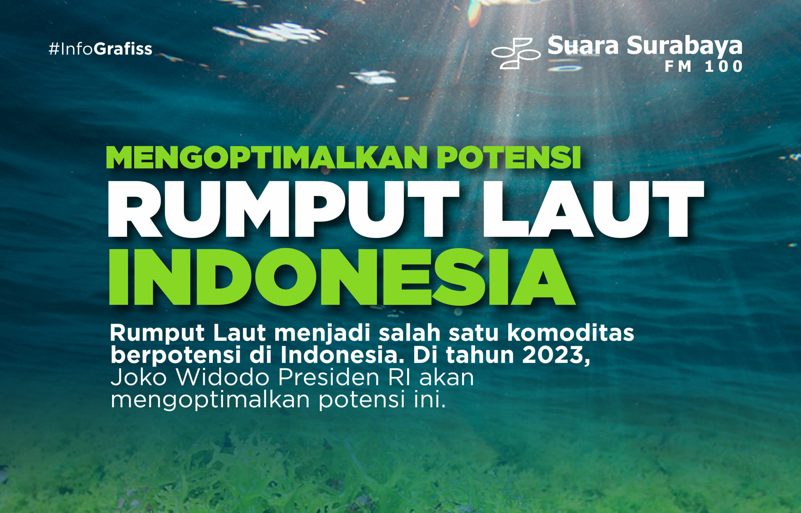 Mengoptimalkan Potensi Rumput Laut Indonesia