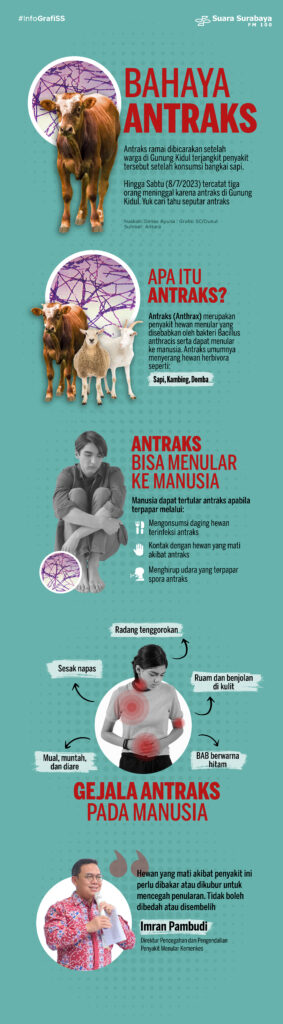 Bahaya Antraks