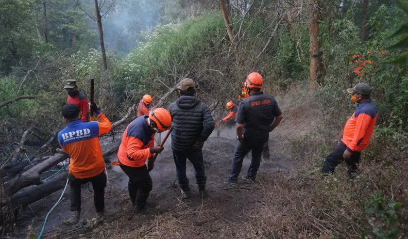 Kondisi Terkini Kebakaran Bukti Teletubbies Gunung Bromo ... Kondisi Terkini Kebakaran Bukti Teletubbies Gunung Bromo ...