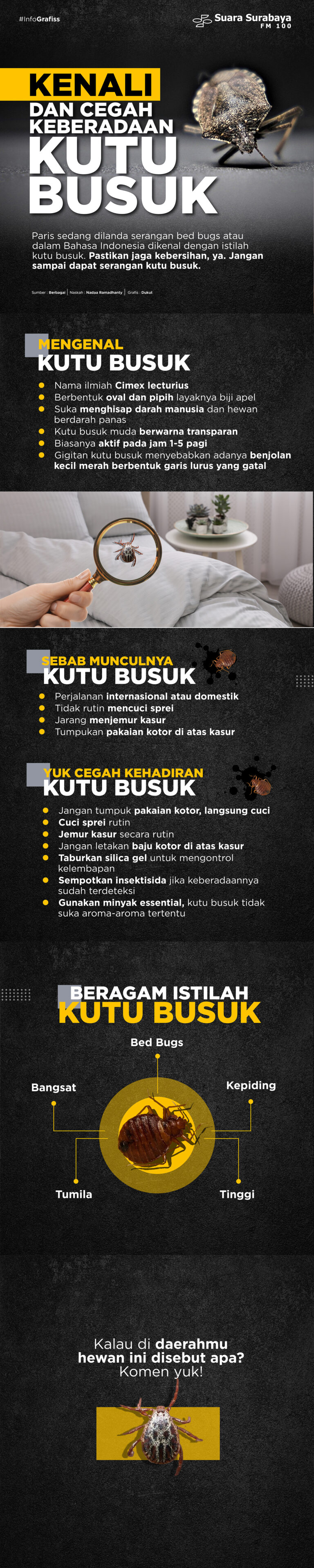 Kenali dan Cegah Keberadaan Kutu Busuk