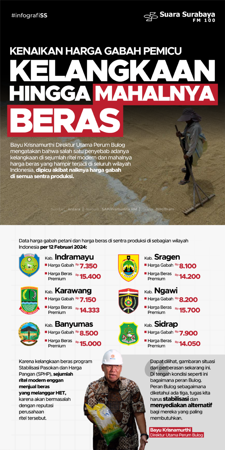 Kenaikan Harga Gabah Pemicu Kelangkaan Hingga Mahalnya Beras