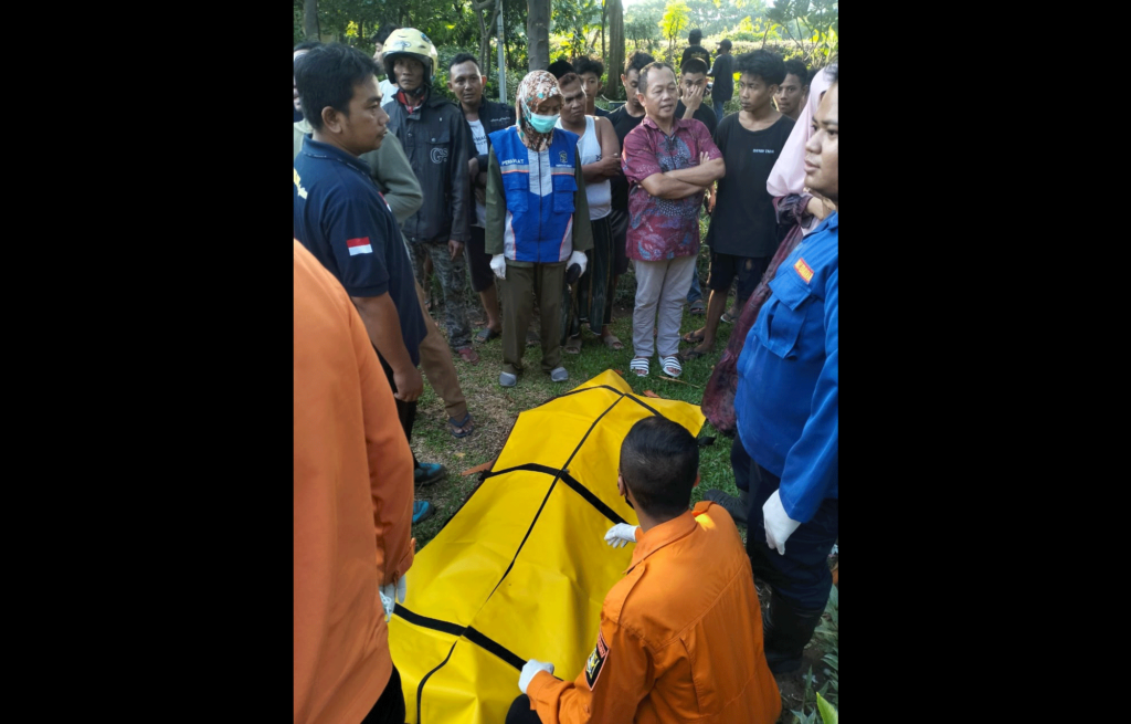 37 Burung Endemik Papua Dilepas ke Habitat Aslinya - Suara Surabaya