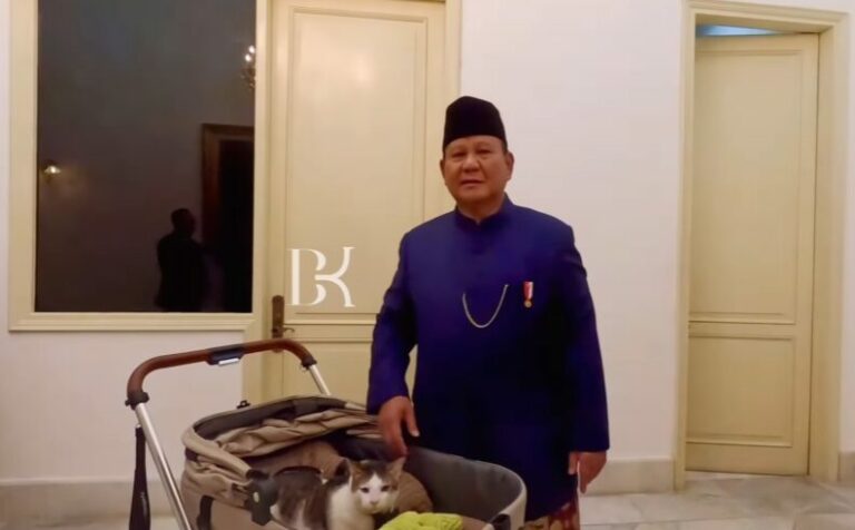 Bobby The Cat Resmi Jadi Penghuni Istana Negara Temani Prabowo Dinas ...