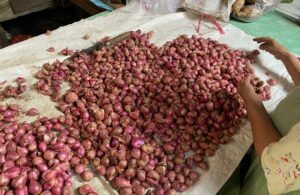 Harga Pangan 25 Juni: Bawang Merah dan Cabai Turun, Ikan dan Telur Naik ...